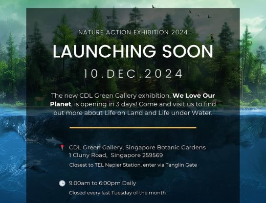 Featuring Susan Chong , A Pioneer Entrepreneur with Sustainability DNA ...