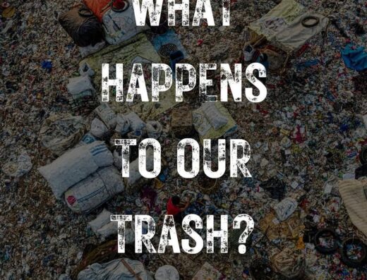 What Happens to our Trash? – ecomeet SG