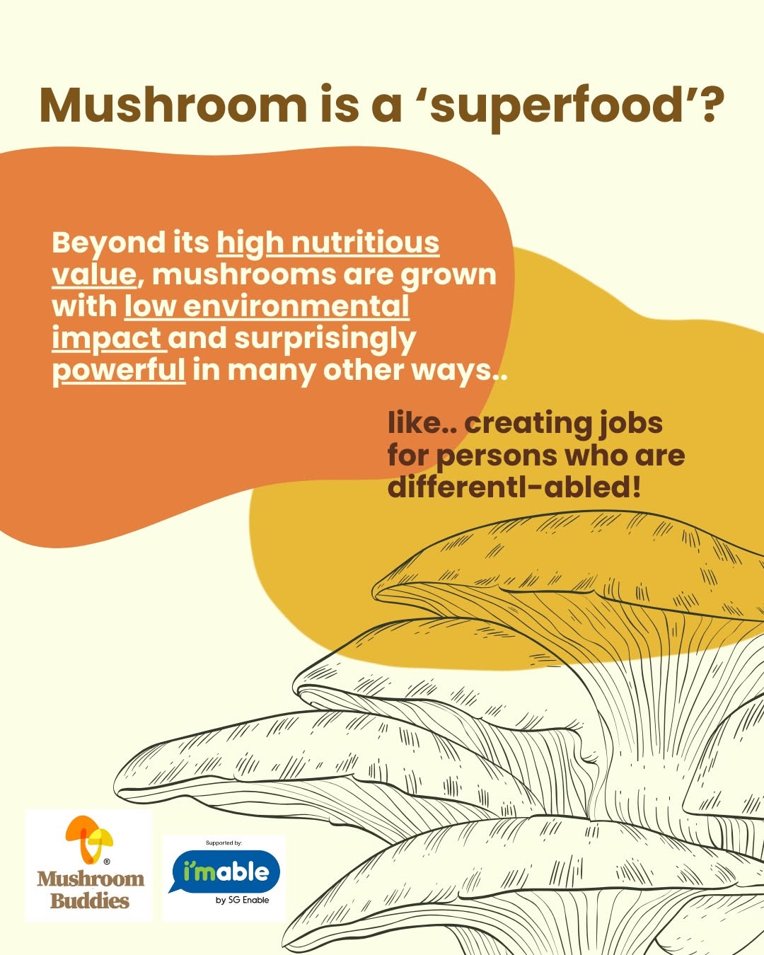 Mushroom Buddies Farm Tour – ecomeet SG