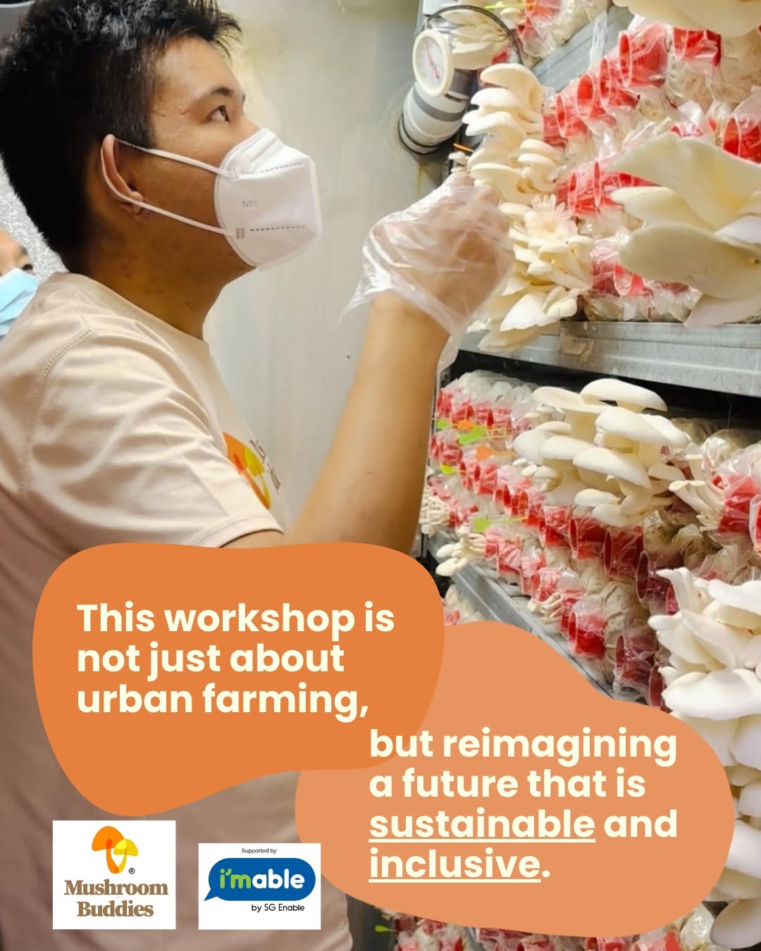 Mushroom Buddies Farm Tour – ecomeet SG