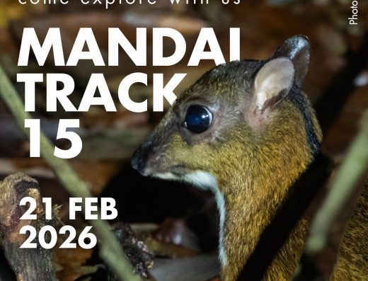 A Shot at Nature , Come explore with Us / Changi Beach – ecomeet SG